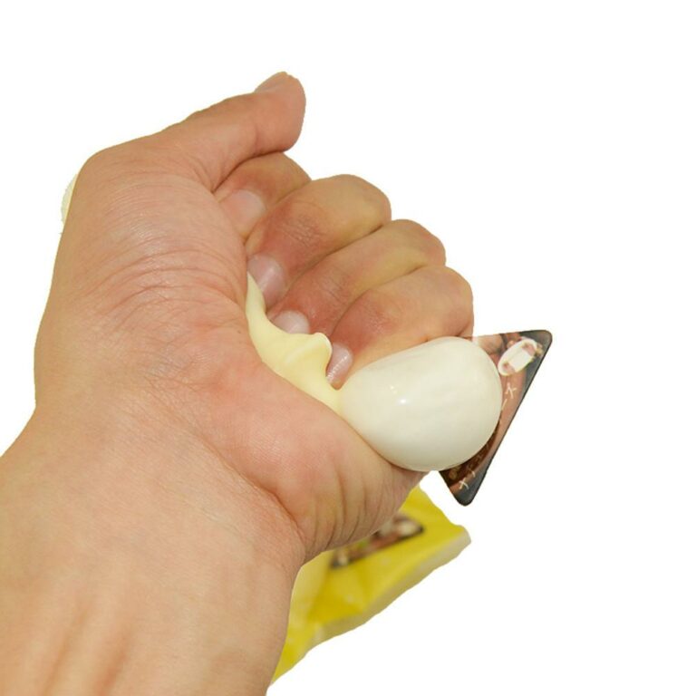 Brie Cheese Squishy - Squishies USA