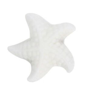 Starfish Mochi Squishy - Squishies USA