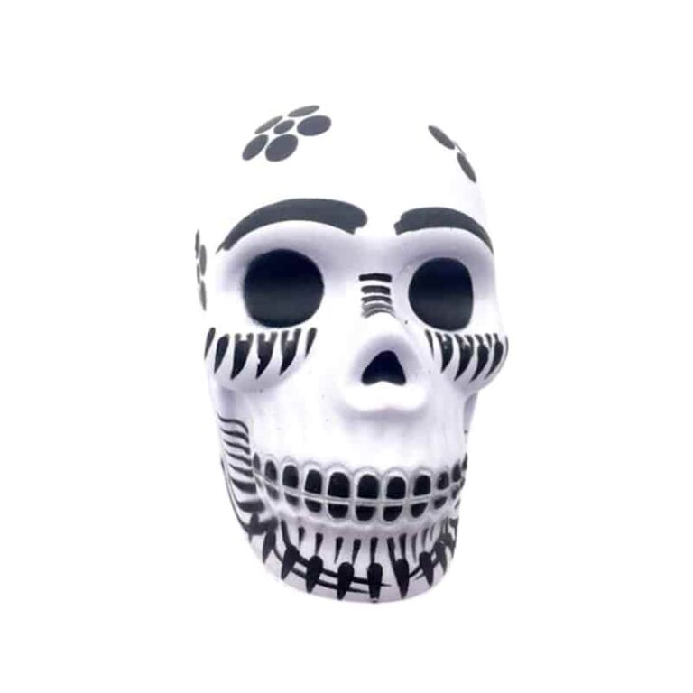 Skull Squishy - Squishies USA