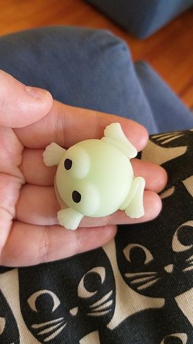 Frog Mochi Squishy - Squishies USA