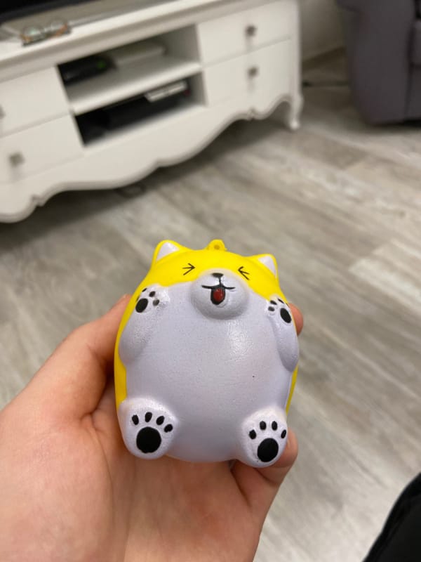 Bear Squishy - Squishies USA